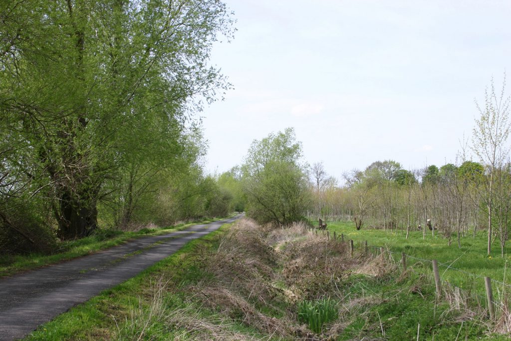 Crudgington Moor and Waters Upton Moor - Explore The Weald Moors