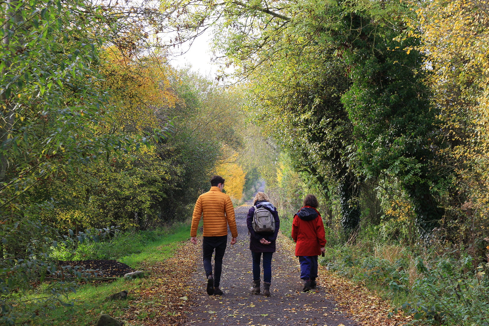 The Buttery - Explore The Weald Moors
