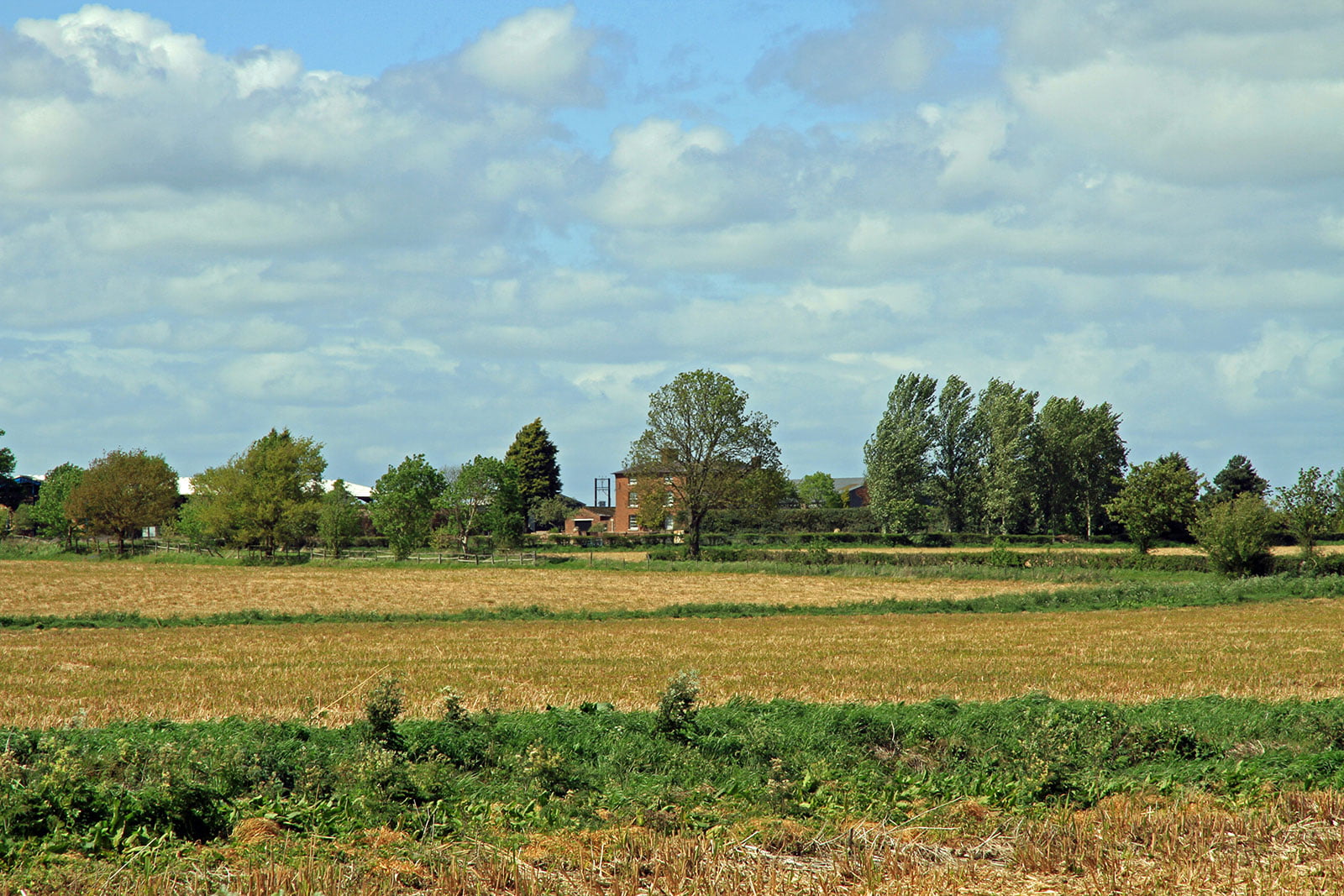 The Buttery - Explore The Weald Moors