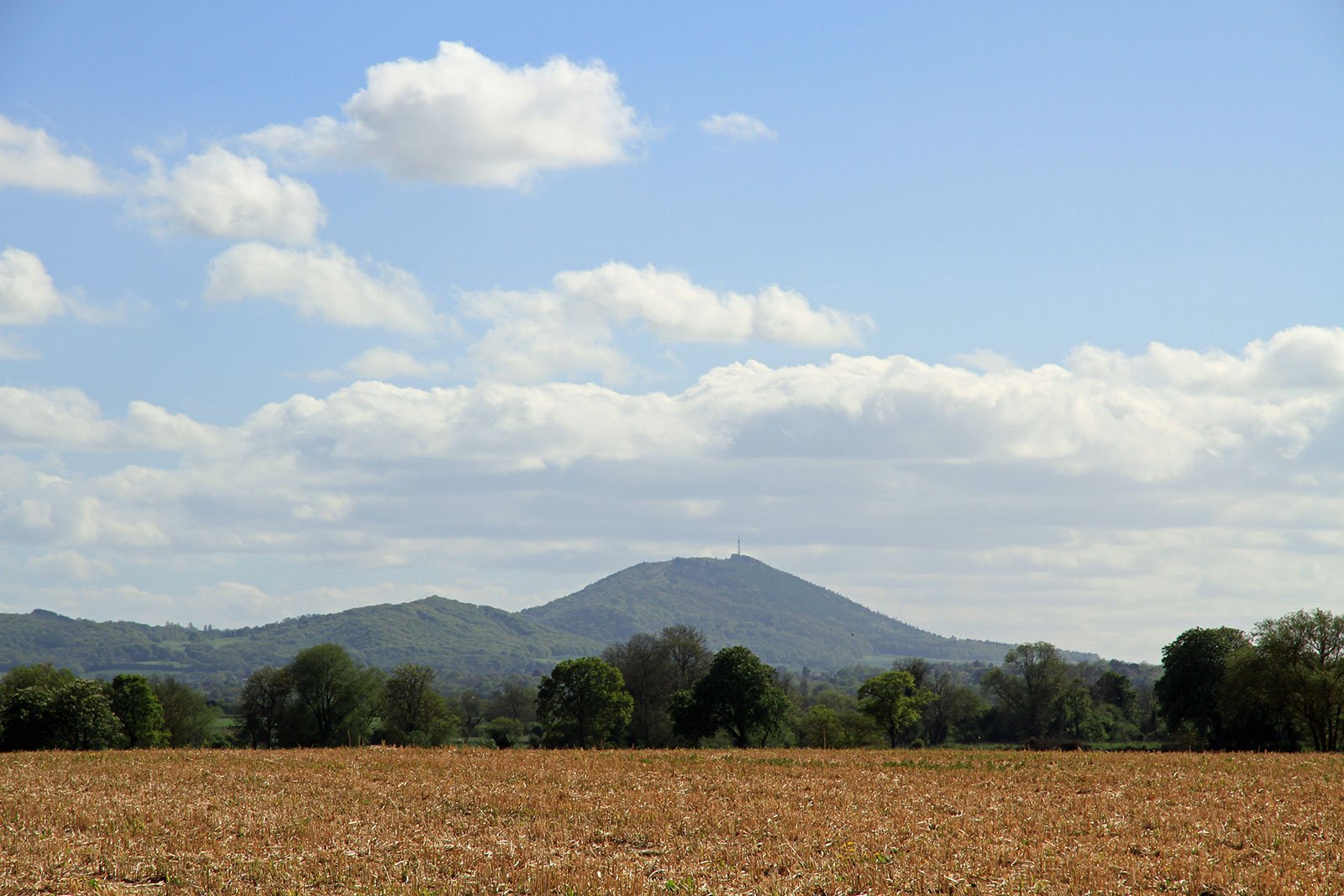 The Buttery - Explore The Weald Moors
