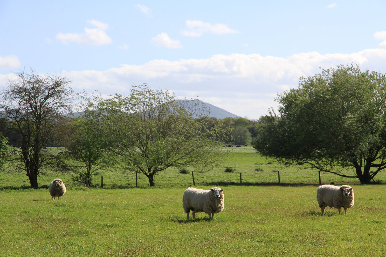 Kynnersley - Weald Moors - Explore The Weald Moors