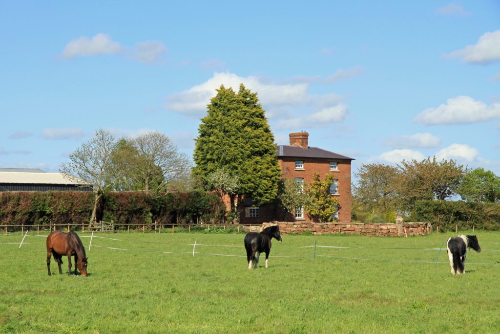 The Buttery - Weald Moors - Explore The Weald Moors