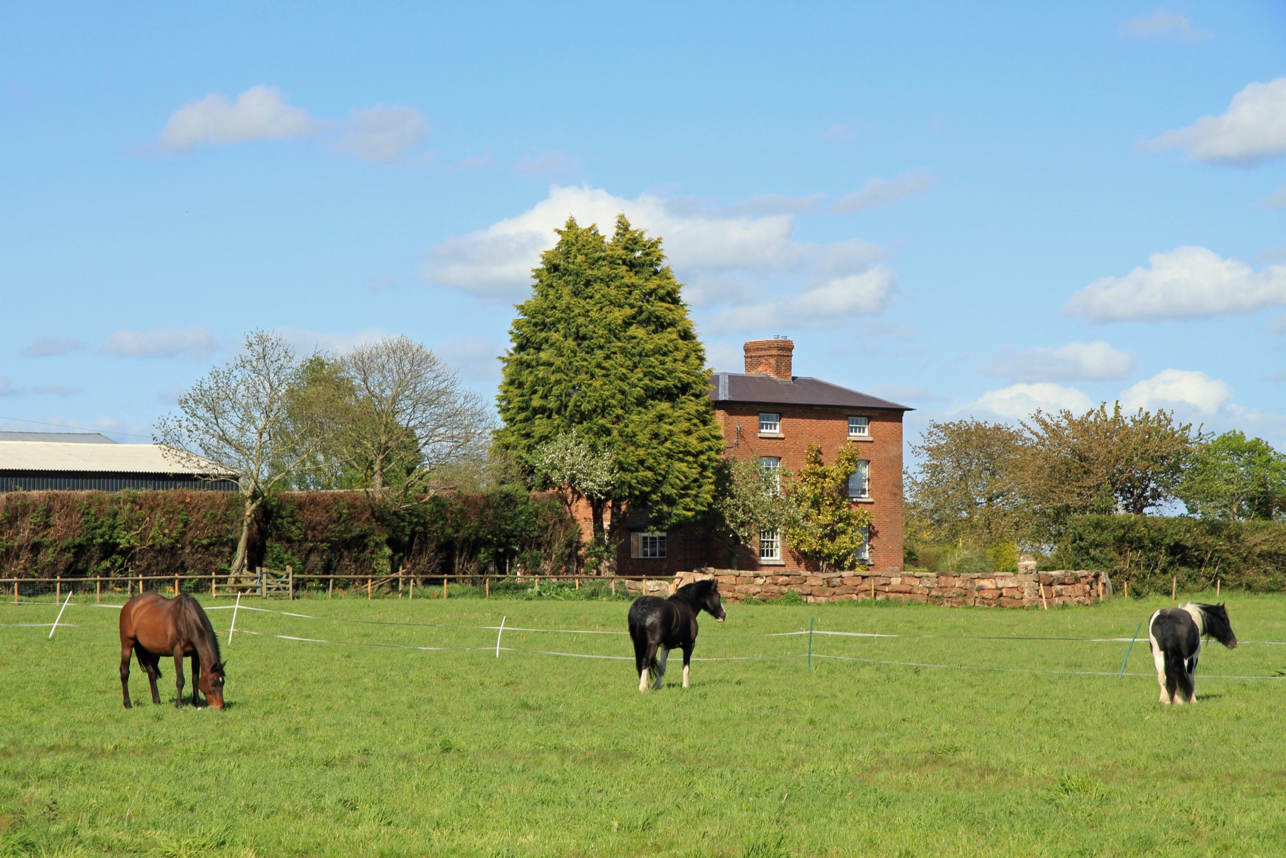 The Buttery - Weald Moors - Explore The Weald Moors