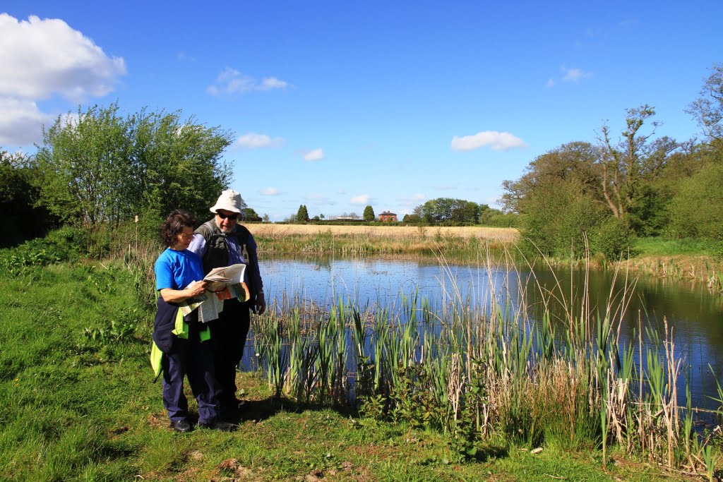 The Buttery - Weald Moors - Explore The Weald Moors