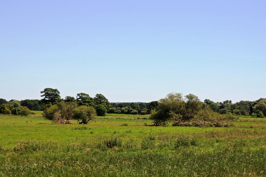 The Buttery - Weald Moors - Explore The Weald Moors